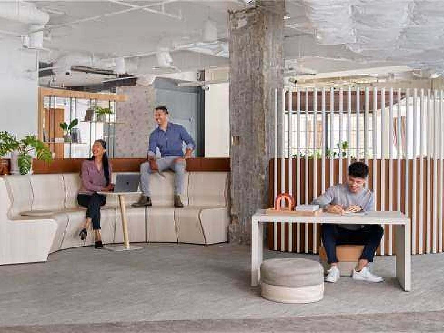 Workplace Insights | CWC