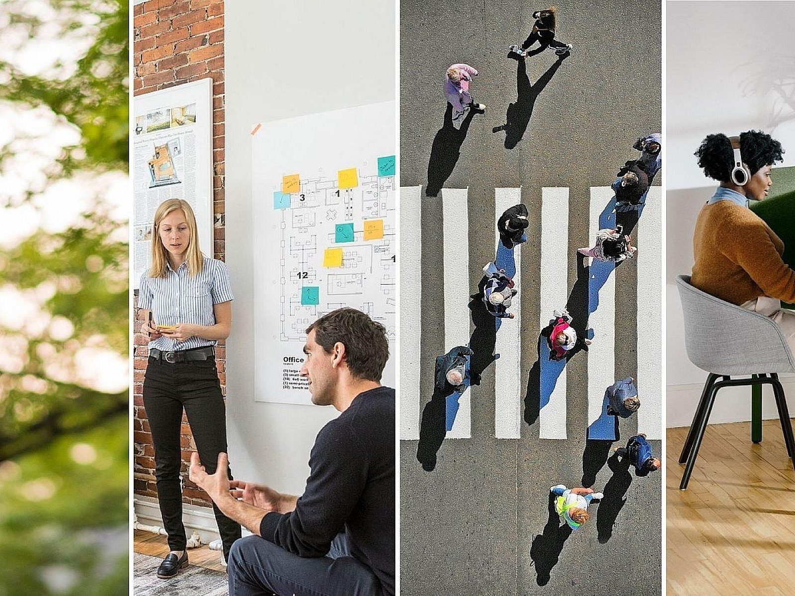 MillerKnoll Dealer | CWC