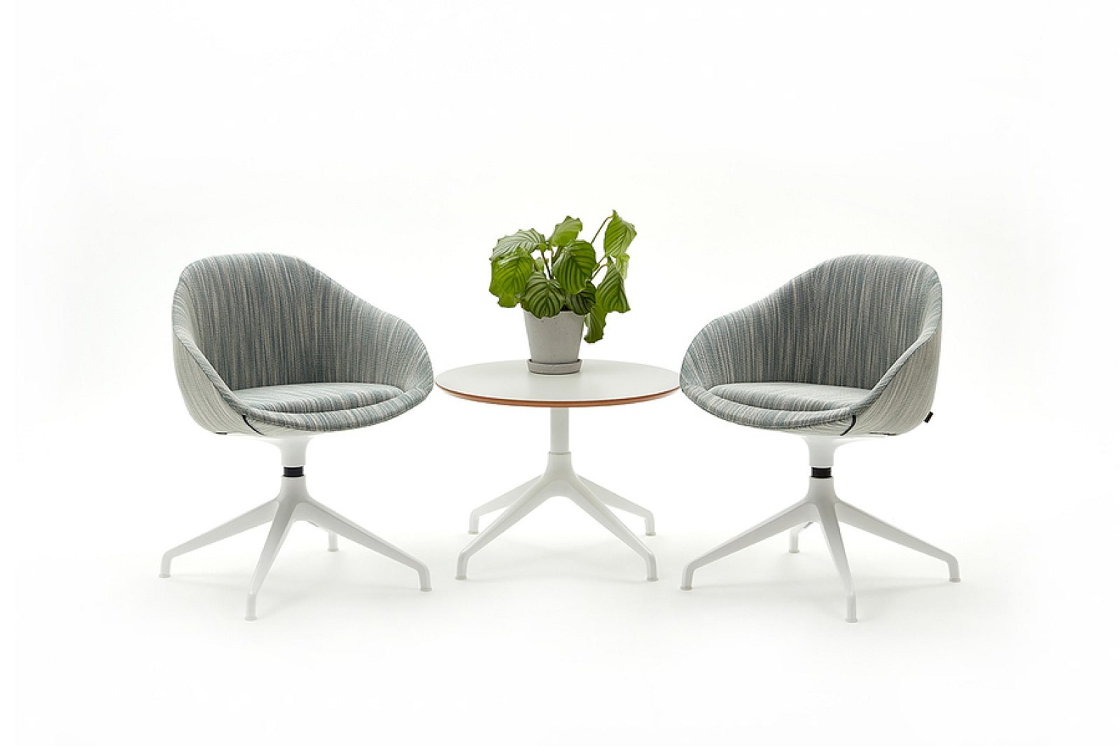 Ali Coffee Table | CWC